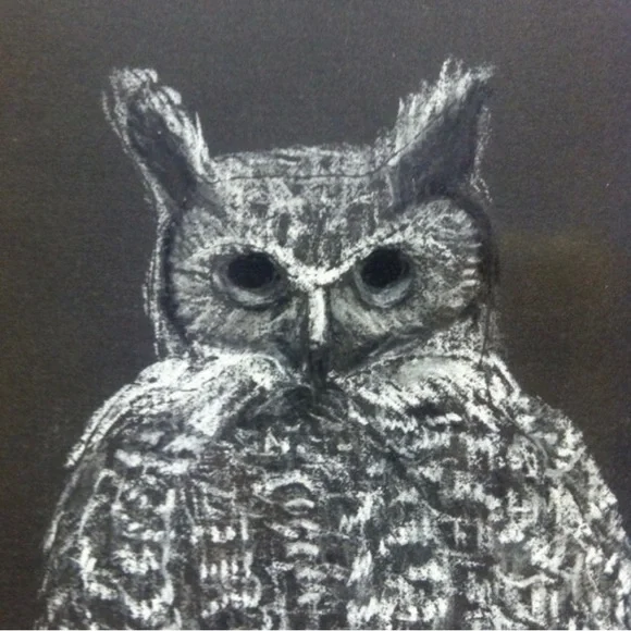 scratchboard owls